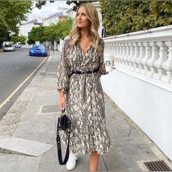 Zara | Dresses | Zara Python Snake Print Metallic Lined Midi Dress ...